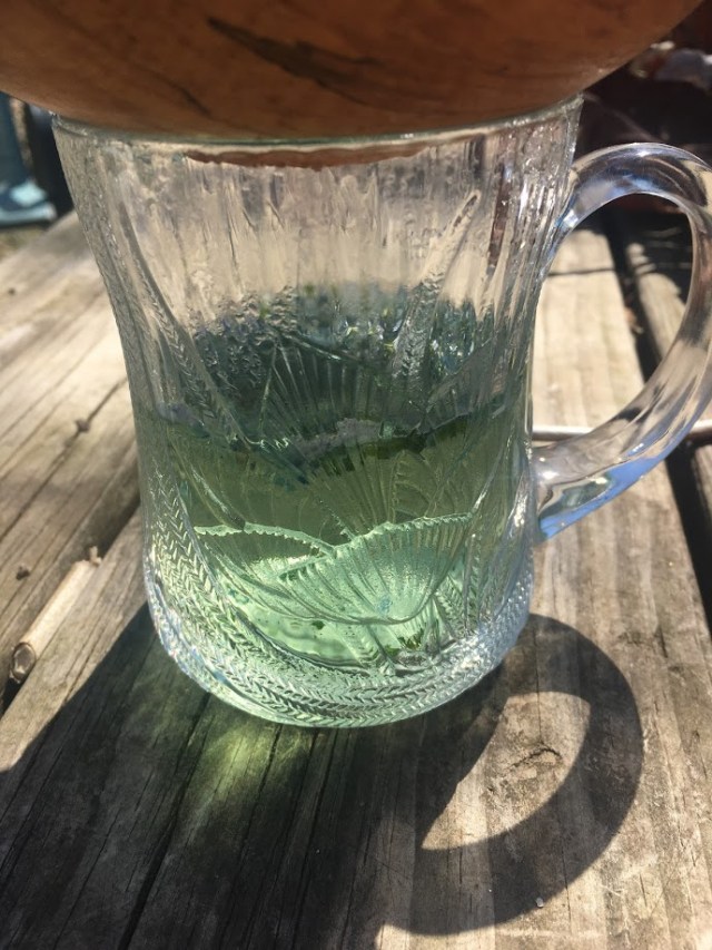 A taste of faery pretty, funky tea | The Green Farmacy Garden, care of CEI