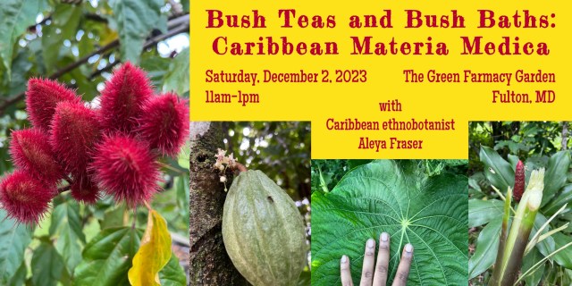 Pop-Up Caribbean Herbal Medicine – Saturday, December 2 | The Green ...
