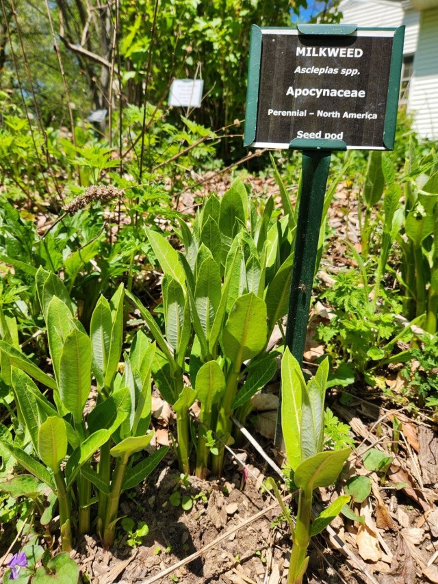 The Green Farmacy Garden, care of CEI | Medicinal Plant Education ...